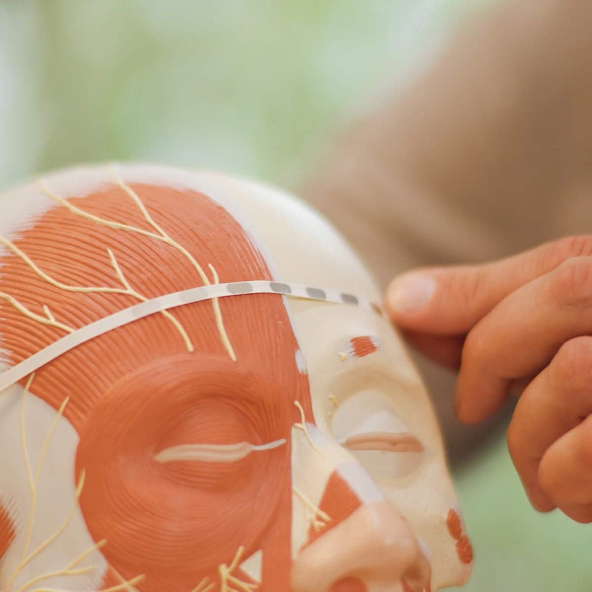 Salvia BioElectronics tegen migraine